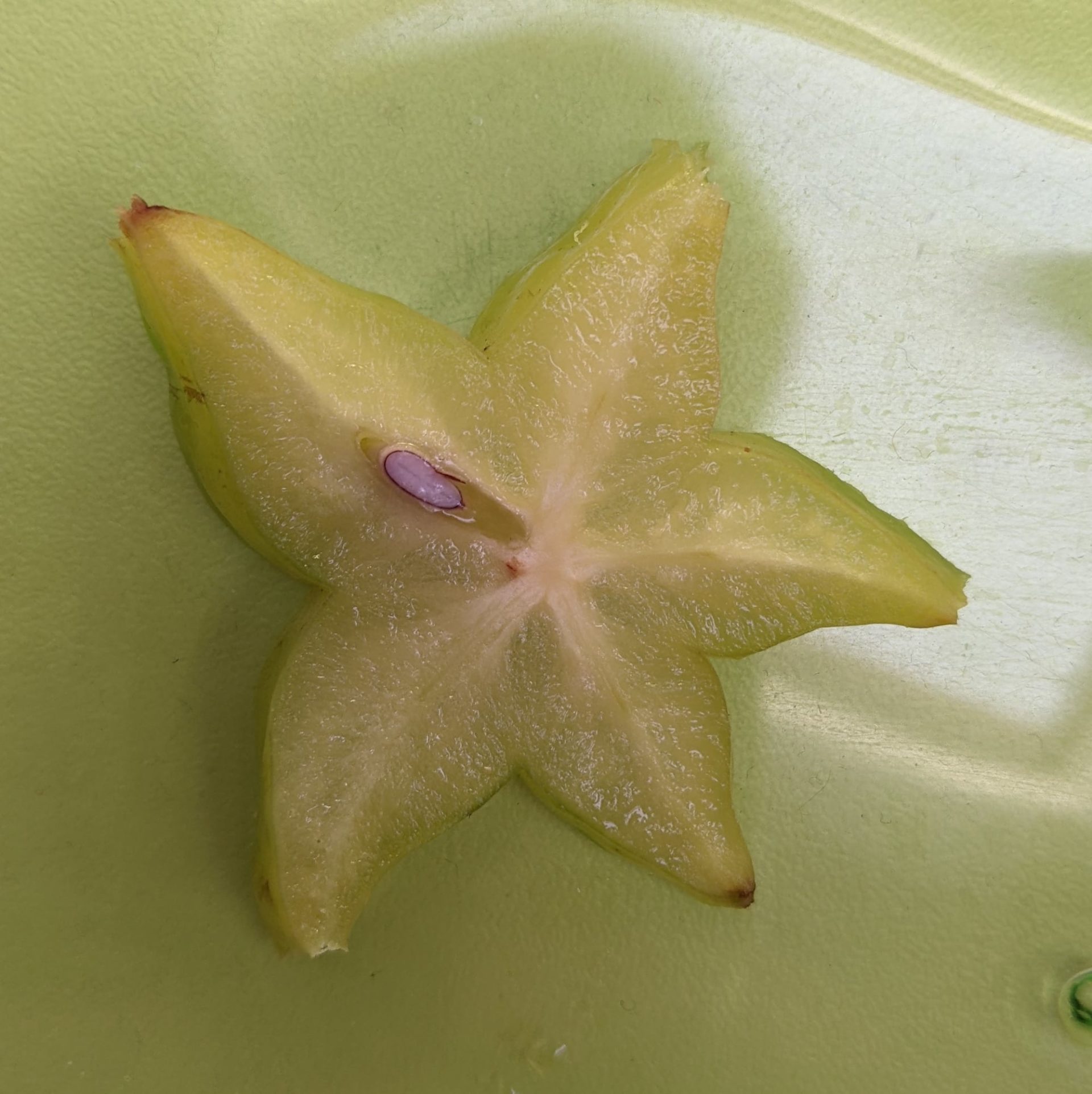 Dégustation de fruits exotiques - Kerustum