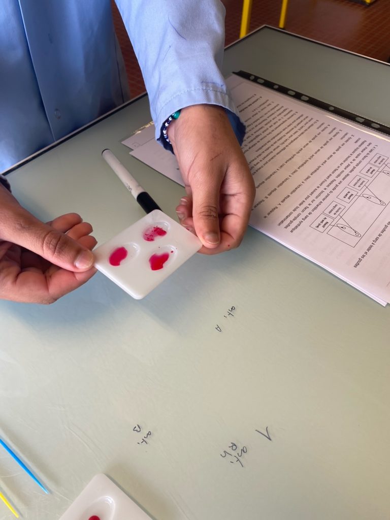 Activité groupage sanguin pour les 1ères Laboratoire - Kerustum