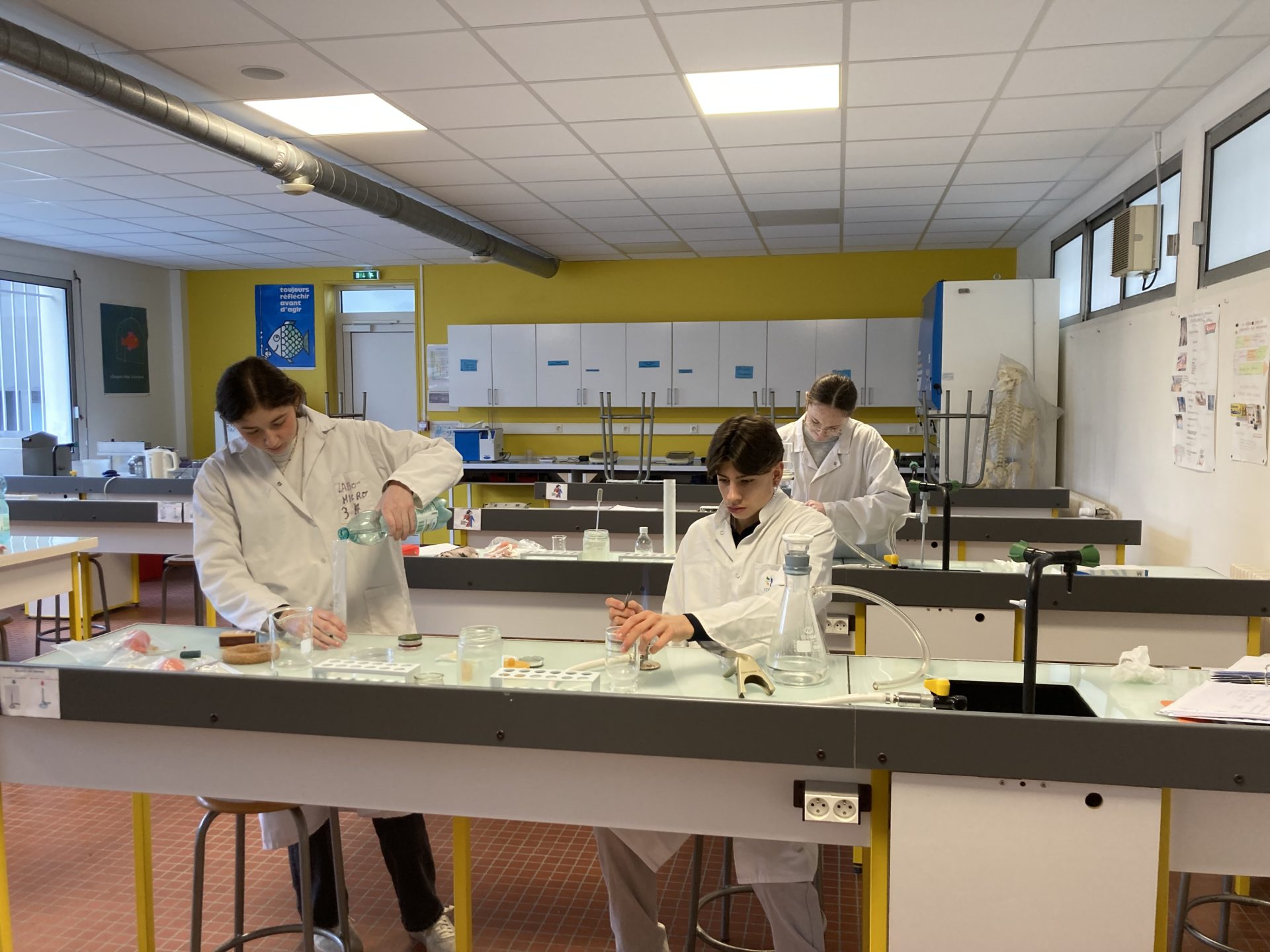 🔬 Analyses microbiologiques en Terminale Bac Pro LCQ - Kerustum